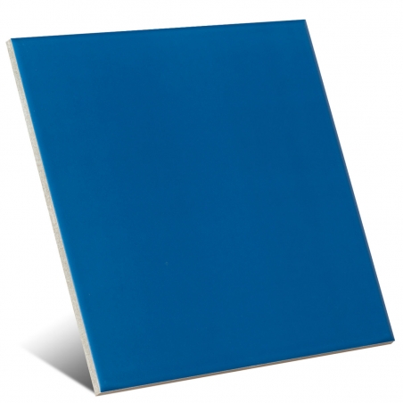Ceramic tiles Dark blue matte red paste single firing
