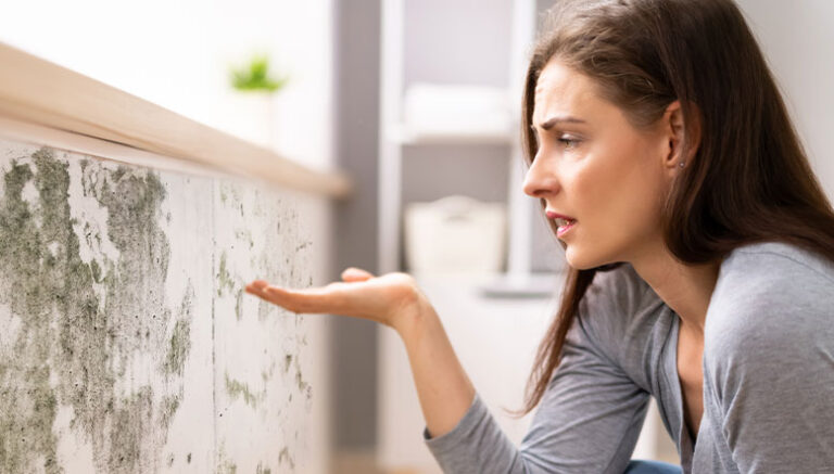 Cómo prevenir el moho en casa: guía efectiva para eliminar la humedad